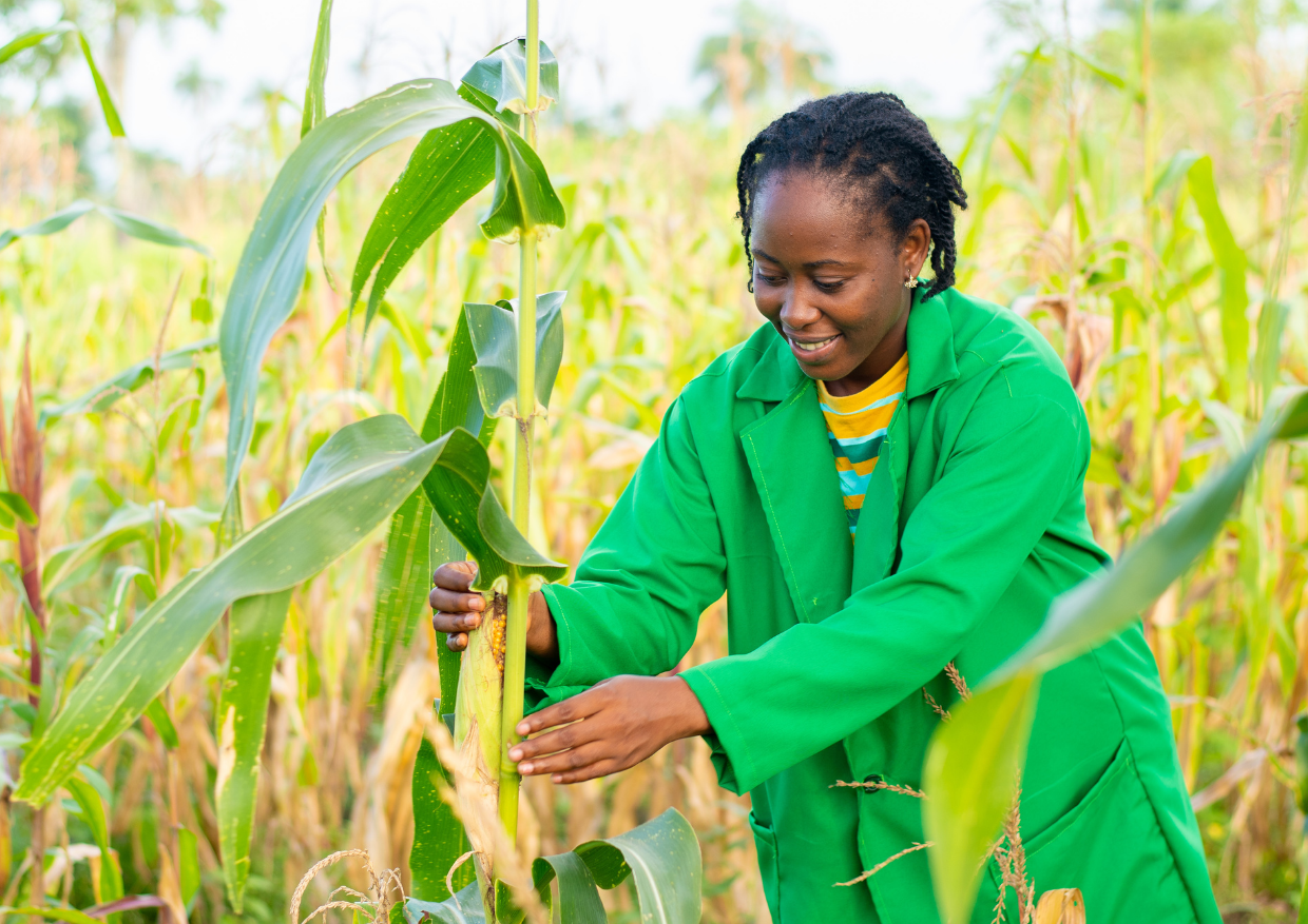 Agrobusiness – Mosaic international
